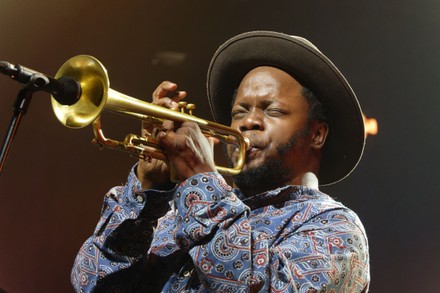 250 American trumpeter Stock Pictures, Editorial Images and Stock ...