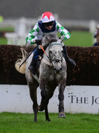 Exeter Racecourse Clerk Course Dan Copper Editorial Stock Photo - Stock ...