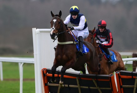 exeter races Stock Photos (Exclusive) | Shutterstock