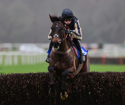 Exeter Races, Exeter Racecourse, UK - 01 Jan 2022 Stock Pictures ...
