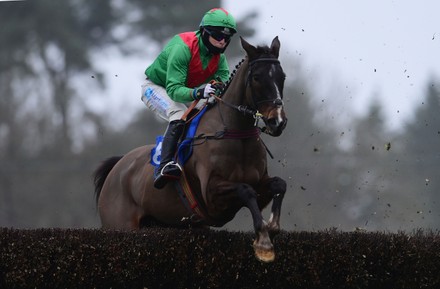 exeter races Stock Photos (Exclusive) | Shutterstock