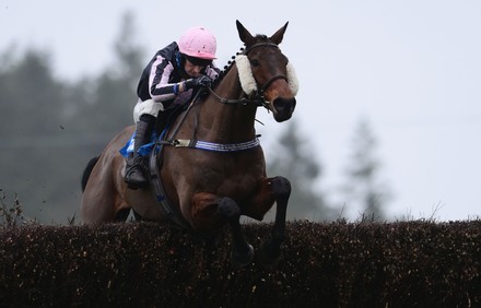 exeter races Stock Photos (Exclusive) | Shutterstock