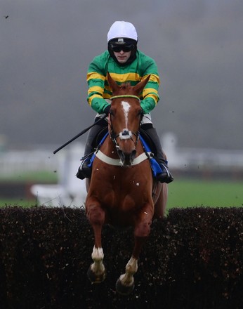 exeter races Stock Photos (Exclusive) | Shutterstock