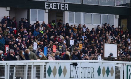 exeter races Stock Photos (Exclusive) | Shutterstock