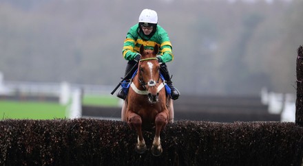 exeter races Stock Photos (Exclusive) | Shutterstock