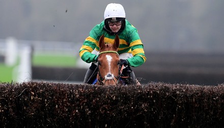 exeter races Stock Photos (Exclusive) | Shutterstock