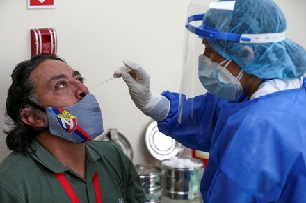 Man Undergoes Pcr Test Detect Coronavirus Editorial Stock Photo - Stock ...