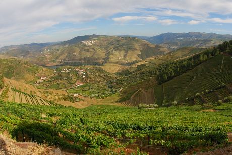 Stunningly Beautiful Douro Valley Untouched Landscape Editorial Stock ...