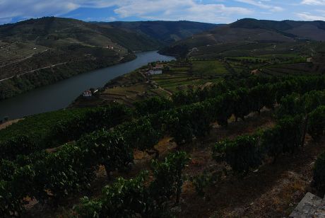 Views Douro River Which Flows Through Editorial Stock Photo - Stock ...