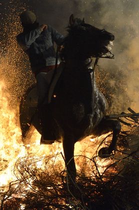 73 Jumping through fire Stock Pictures, Editorial Images and Stock ...