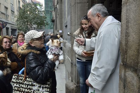 Pet Owner Has Her Dog Blessed Editorial Stock Photo - Stock Image ...