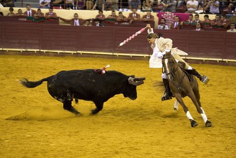 Female Toureiro Action During Portuguese Style Editorial Stock Photo ...