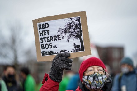 Save The Star Forest, Sittard, Netherlands - 08 Jan 2022 Stock Pictures ...