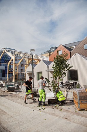 Planting Trees Vegetation Broparken During Vallastaden Editorial Stock ...