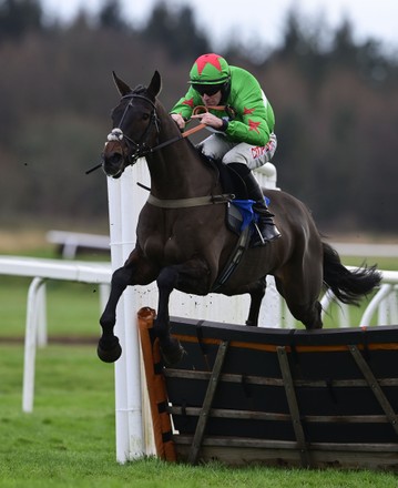 exeter races Stock Photos (Exclusive) | Shutterstock