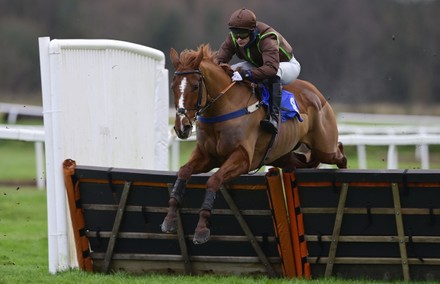 exeter races Stock Photos (Exclusive) | Shutterstock