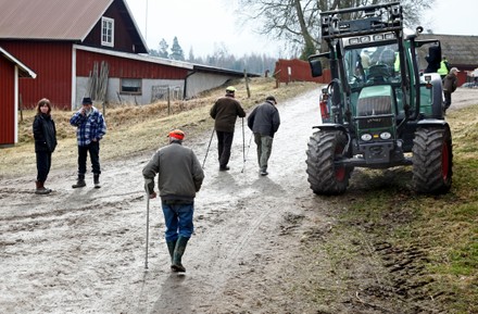 Farm Auction Dairy Cows Editorial Stock Photo - Stock Image | Shutterstock