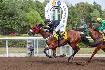 Af Soqrat Ae Ridden By Tadhg Editorial Stock Photo - Stock Image ...