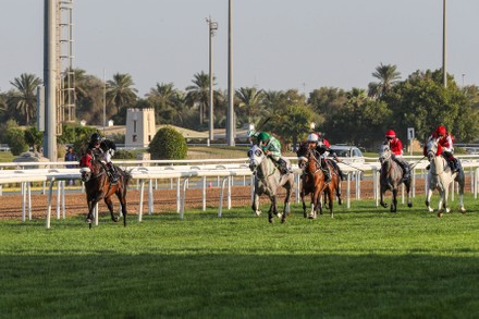 Horse Racing, Abu Dhabi, UAE - 24 Jan 2022 Stock Pictures, Editorial ...