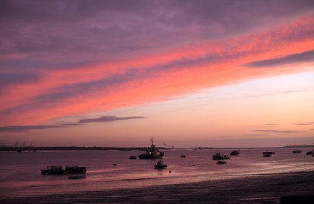 imágenes de Seasonal weather, Gravesend, UK - 19 Jan 2022 - Imágenes de ...