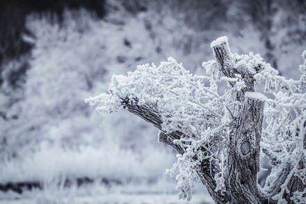 Ice Landscape Editorial Stock Photo - Stock Image | Shutterstock