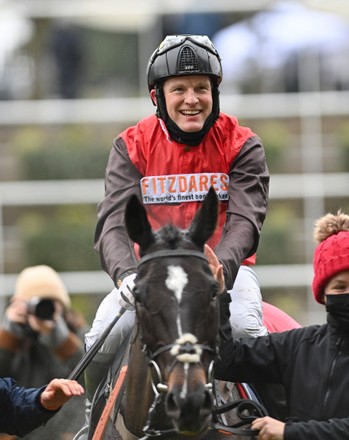 David Maxwell Jockey Cat Tiger After Editorial Stock Photo - Stock ...