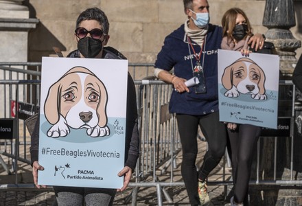 Protesters Hold Placards Against Animal Testing Editorial Stock Photo ...