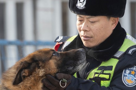 Patrollman Wang Hongbin Patrol Dog Hu Editorial Stock Photo - Stock ...