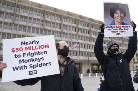 peta demonstration washington Stock Photos (Exclusive) | Shutterstock