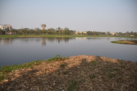 Mostly Water Hyacinth Covered Santragachi Jheel Editorial Stock Photo ...