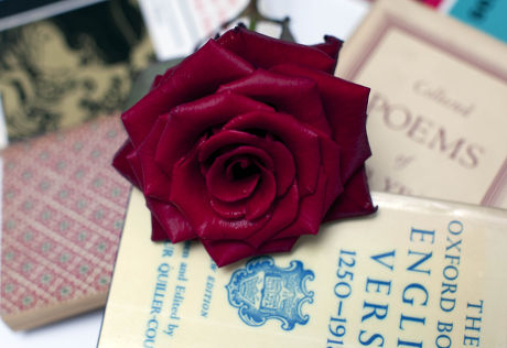 Poetry Books Red Rose Editorial Stock Photo - Stock Image | Shutterstock