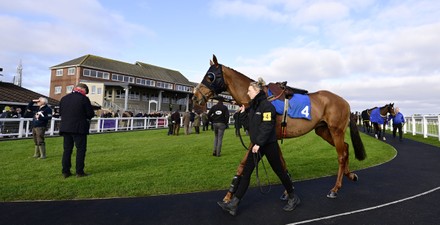 Exeter Races, Exeter Racecourse, Devon, UK - 02 Feb 2022 Stock Pictures ...