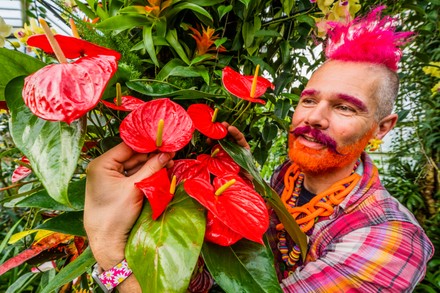 Henck Roling House Florist Makes Final Editorial Stock Photo - Stock ...