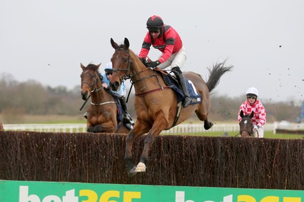 500 Wetherby racecourse Stock Pictures, Editorial Images and Stock ...