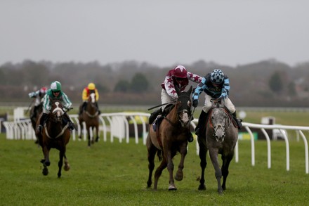 500 Wetherby racecourse Stock Pictures, Editorial Images and Stock ...