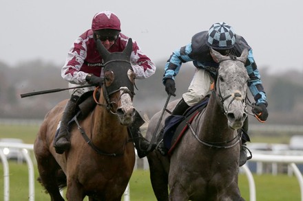 500 Wetherby racecourse Stock Pictures, Editorial Images and Stock ...