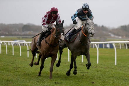 Horse Racing, Wetherby Races - 05 Feb 2022 Stock Pictures, Editorial ...