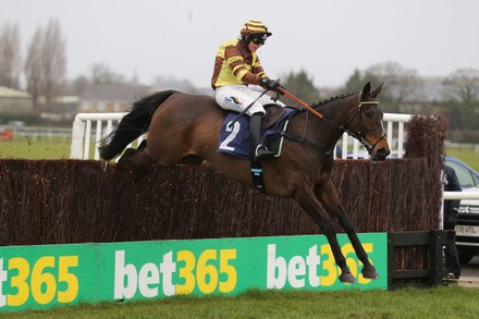 500 Wetherby racecourse Stock Pictures, Editorial Images and Stock ...