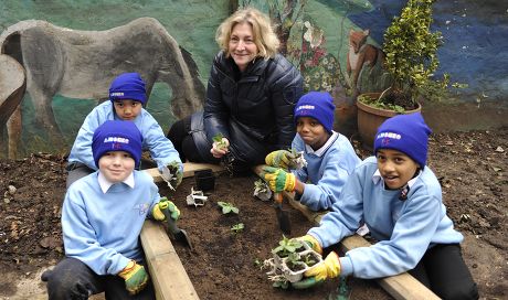 Rosie Boycott Pupils Ambler Primary School Editorial Stock Photo ...