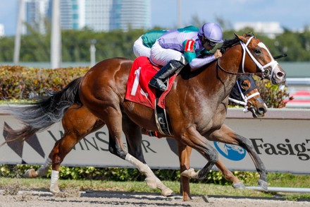 HORSE RACING Holy Bull Stakes Day, Hallandale Beach, USA - 05 Feb 2022 ...