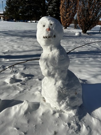 Snowman Toronto Ontario Canada On February Editorial Stock Photo ...