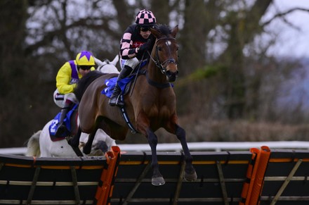 taunton races Stock Photos (Exclusive) | Shutterstock