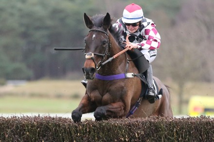 Jessie Lightfoot 7 Ridden By Lilly Editorial Stock Photo - Stock Image ...