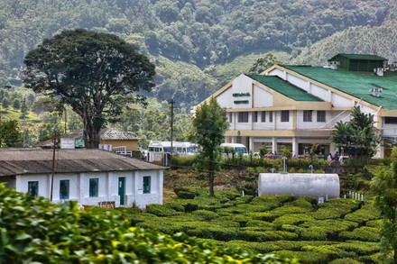 Mattupetty Tea Factory Madupetty Mattupetty Idukki Editorial Stock ...