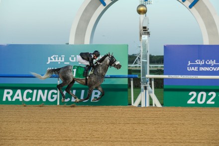Af Alajaj Fr Ridden By Tadhg Editorial Stock Photo - Stock Image ...