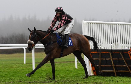 Exeter Races, Exeter Racecourse, Devon, UK - 13 Feb 2022 Stock Pictures ...
