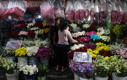 Woman Select Flowers Florist Merchant Ahead Editorial Stock Photo ...