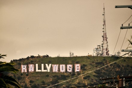 Whose Rams House Rams Hollywood Sign Editorial Stock Photo - Stock ...