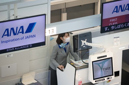 All Nippon Airways Ana Employee Checkin Editorial Stock Photo - Stock ...