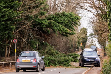 Strong Winds Causing Damage Storm Eunice Editorial Stock Photo - Stock ...